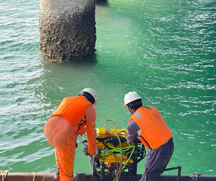 Services – Planys Technologies